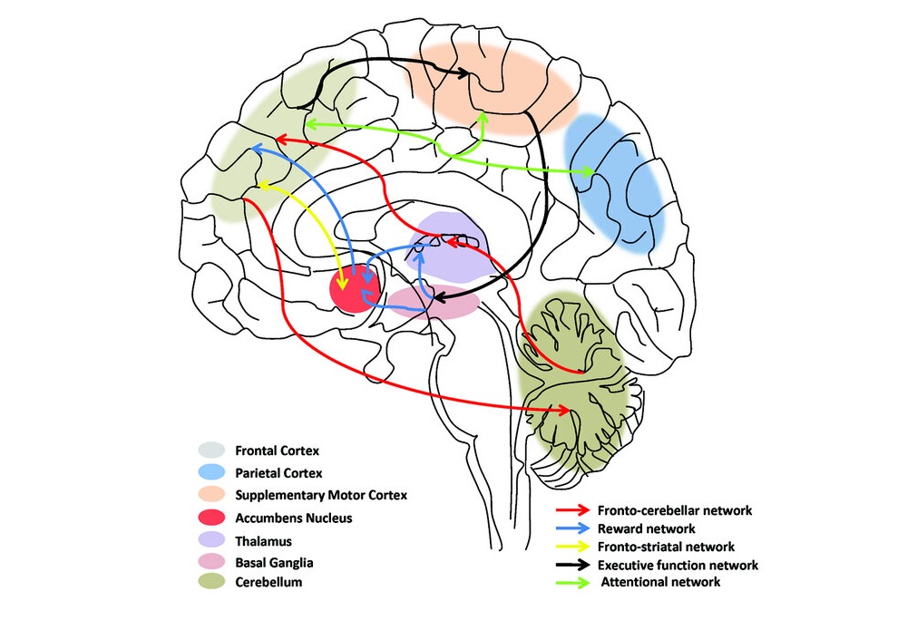 Why ADHD and Trauma Often Occur Together — And How Trauma-Informed ...
